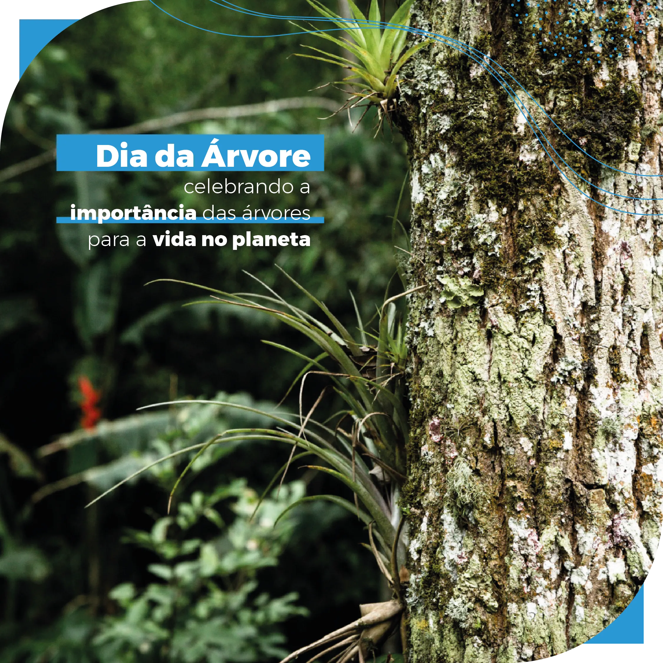 How Much Do We Waste? A Data-Driven Guide to Waste and Landfills - meuResíduo